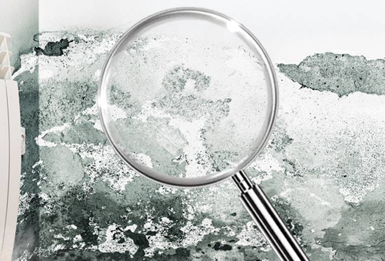 Increase your knowledge through our expertise | Blog | Building Rank Group